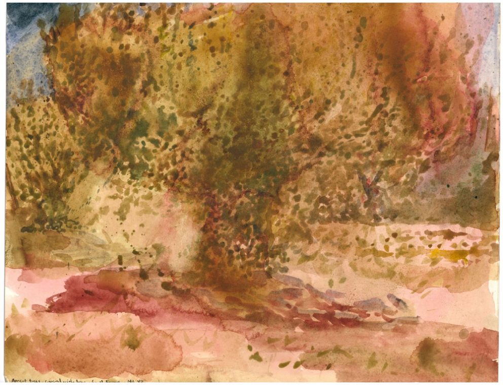 Norman Adams, Watercolours Four Distinctive Landscapes - Gavagan ...