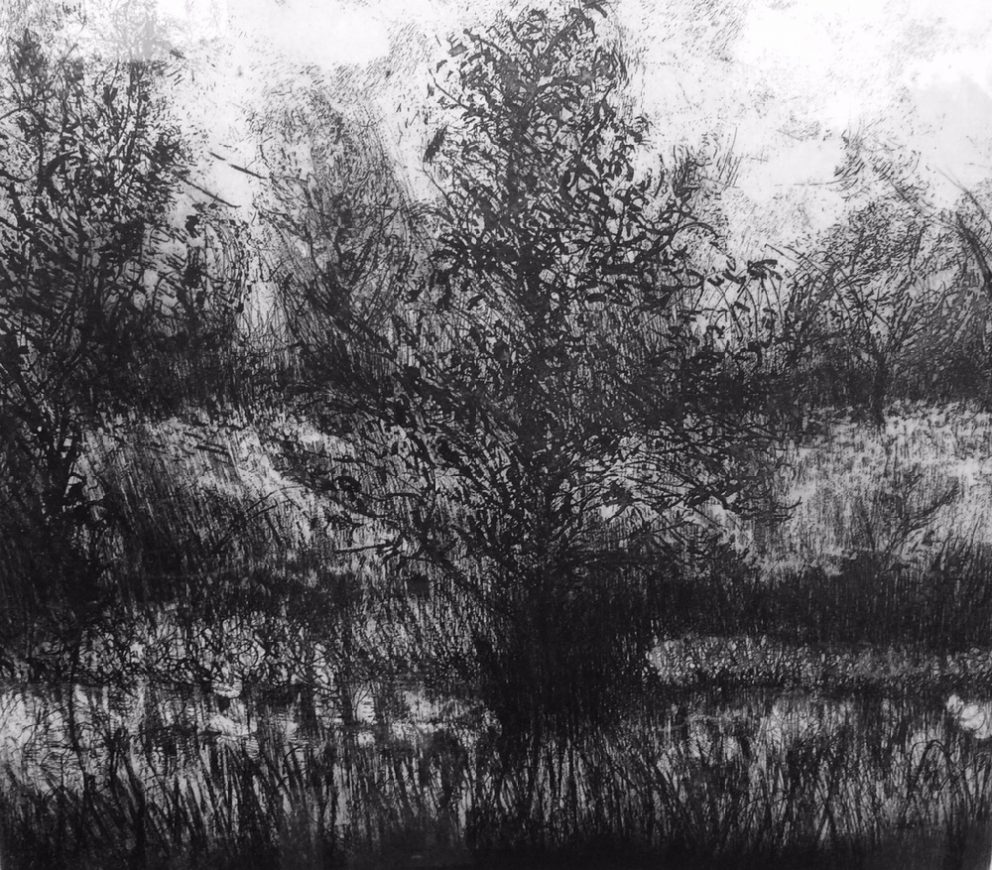 Brian Hindmarch - Gavagan Art Printmaker