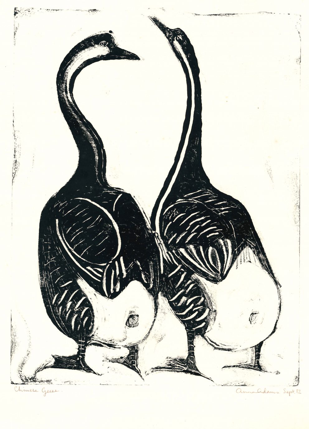 Anna Adams - Gavagan Art – Contemporary Art Gallery