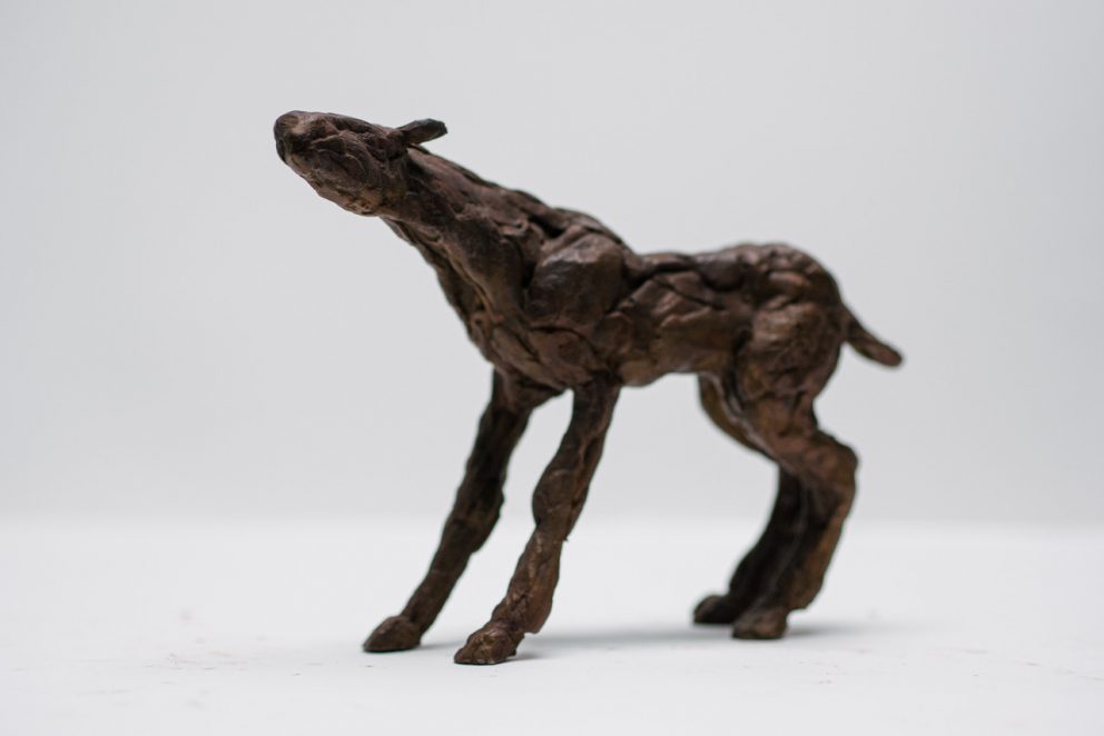 Marjan Wouda - Gavagan Art – Contemporary Art Gallery