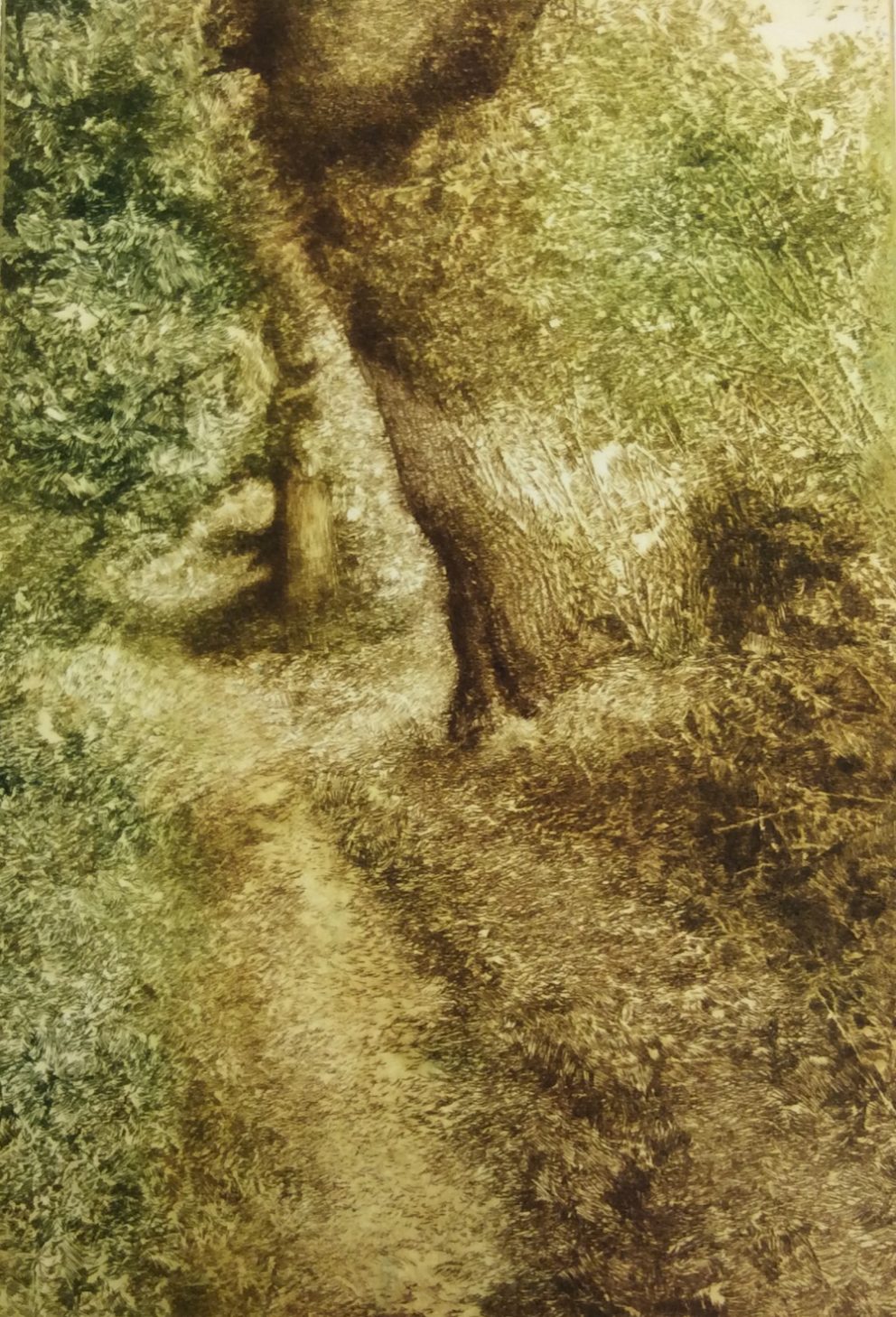 Autumn - Gavagan Art - Emerging and established artists